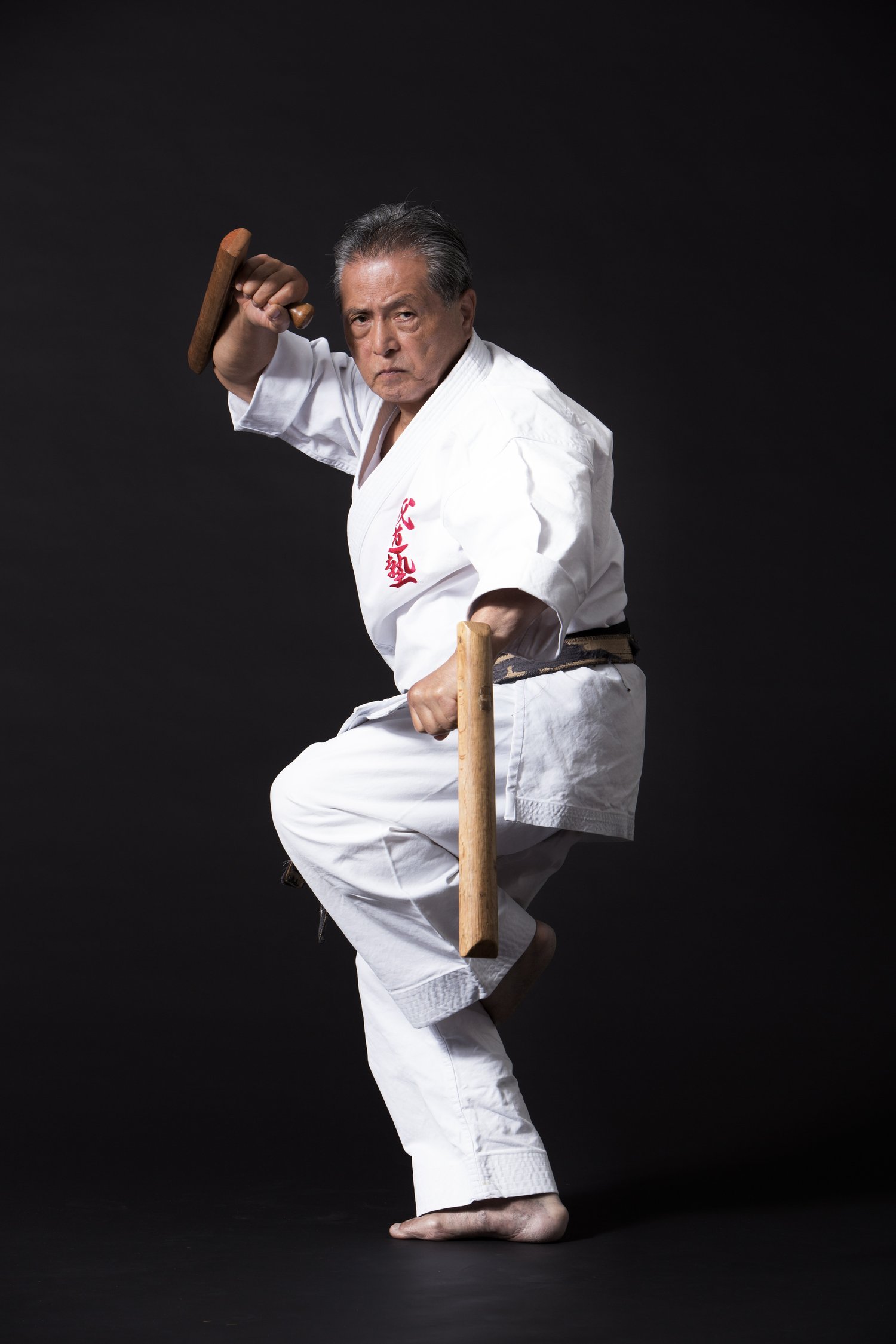 World Seido Karate Organisation | Seido